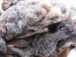 Wool terminology - The Accidental Smallholder